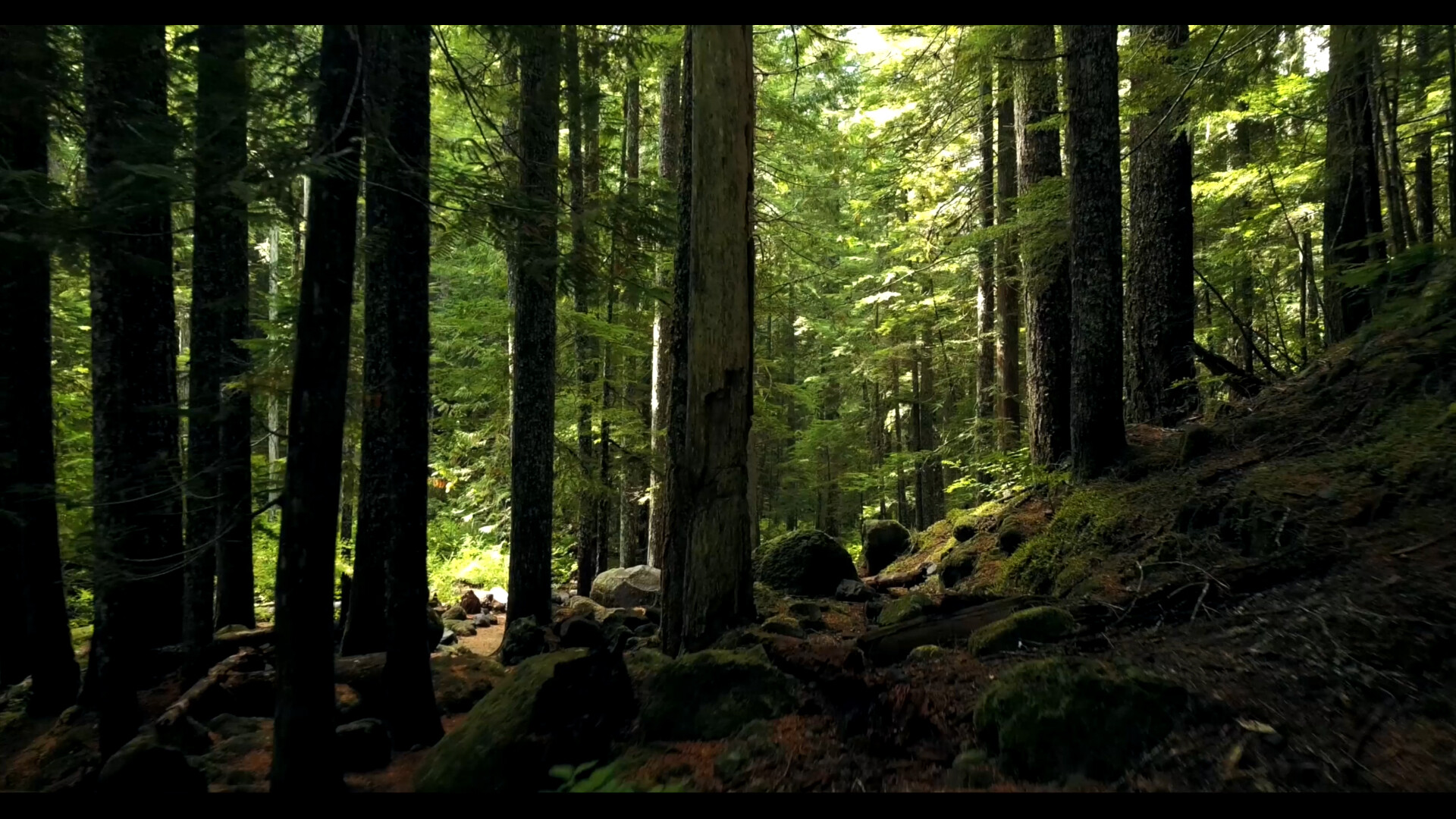 Core Scientific - Precious Metal Refinery